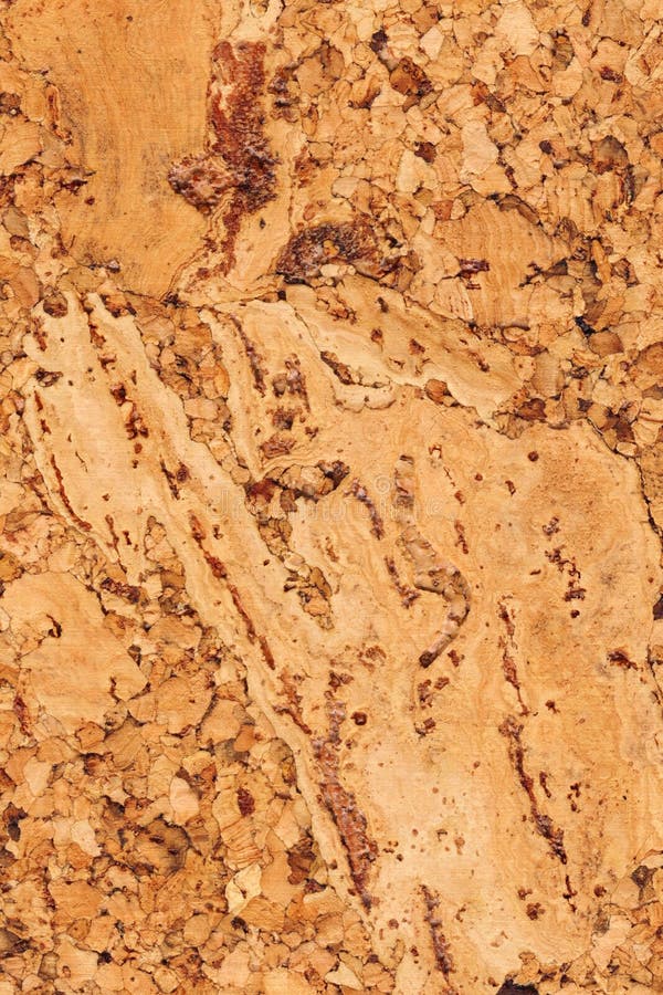 31+ Cork tile Free Stock Photos - StockFreeImages