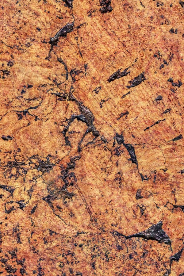 Cork Board Texture stock image. Image of cork, wood, surface - 15235