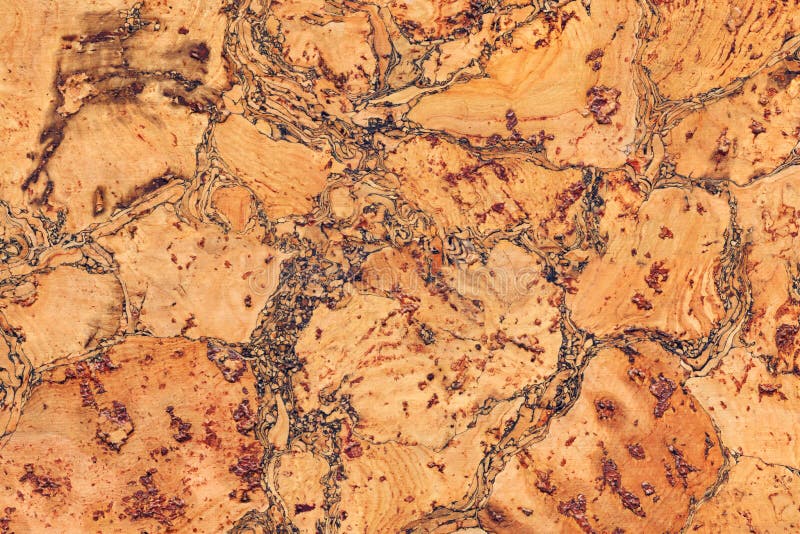 Cork Tile Texture Sample Stock Photos - Free & Royalty-Free Stock ...