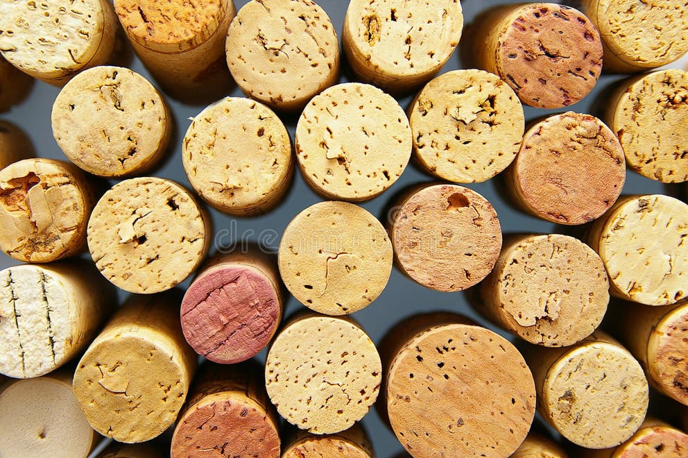 Cork tops stock photo. Image of pattern, variety, porous - 14912050