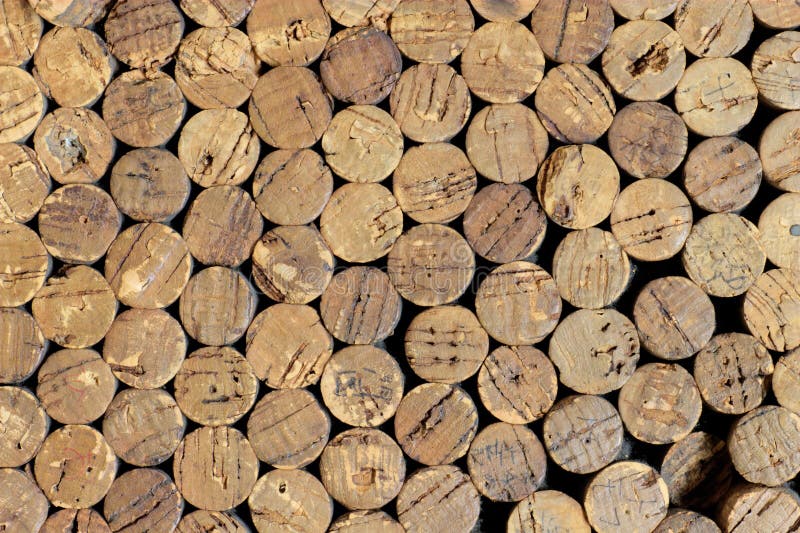 Cork tops background stock photo. Image of circle, macro - 5540624