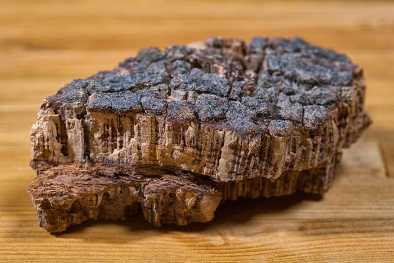 2,801 Background Surface Material Natural Eco Friendly Design Stock ...