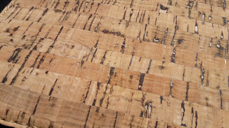 Cork Tree, Cork Cloth, Cork Texture. Cork Background Stock Image ...
