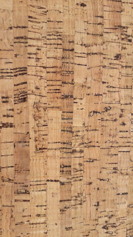 Cork Tree, Cork Cloth, Cork Texture. Cork Background Stock Photo ...
