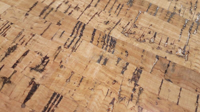 Cork Tree, Cork Cloth, Cork Texture. Cork Background Stock Image - Image of carving, floor ...