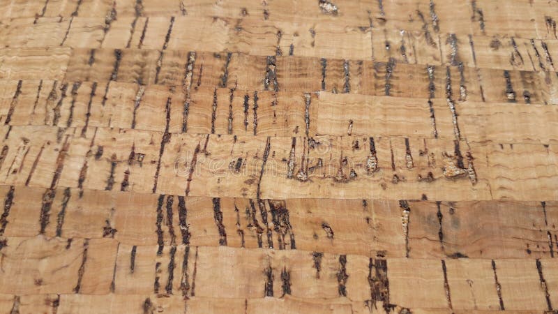 Cork Tree, Cork Cloth, Cork Texture. Cork Background Stock Image ...