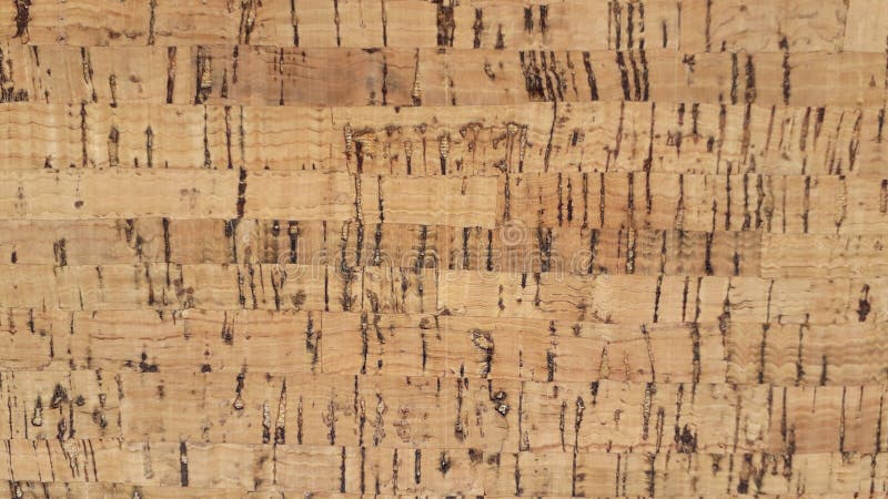 Cork Tree, Cork Cloth, Cork Texture. Cork Background Stock Image ...