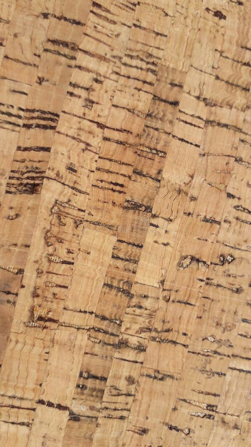 Cork Tree, Cork Cloth, Cork Texture. Cork Background Stock Photo ...