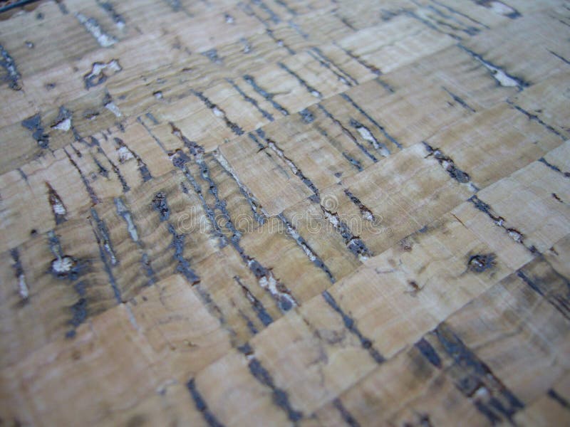 Cork Tree, Cork Cloth, Cork Texture. Cork Background Stock Image ...