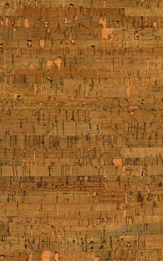 Cork wallpaper texture stock image. Image of modern, pattern - 3134225