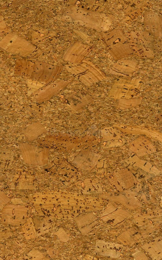 Cork wallpaper texture stock photo. Image of wall, ground - 3140094