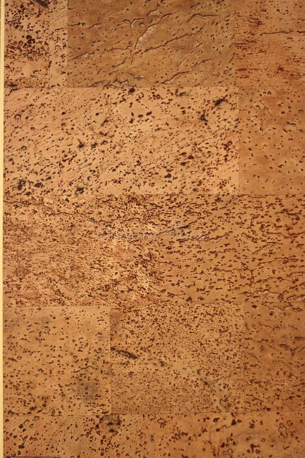 Cork Wood Texture stock photo. Image of boards, cork - 12097112