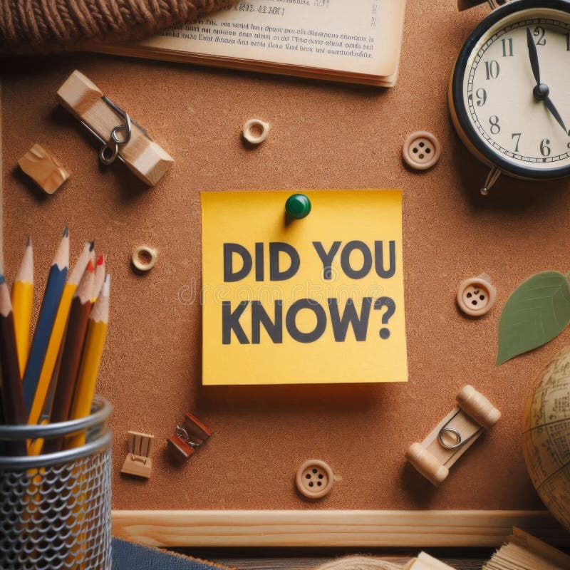 Corkboard Display Featuring Sticky Note, Highlighting the Phrase Did ...