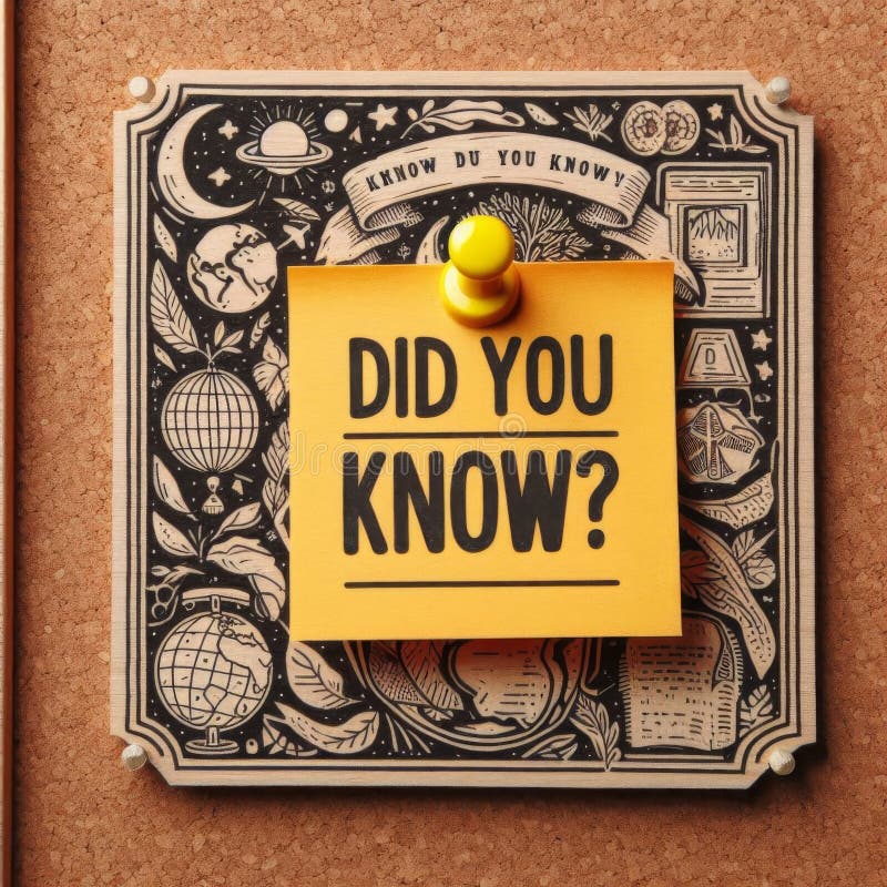 Corkboard Display Featuring Sticky Note, Highlighting the Phrase Did ...