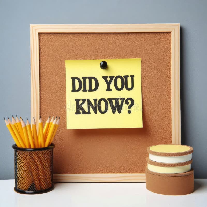 Corkboard Display Featuring Sticky Note, Highlighting the Phrase Did ...