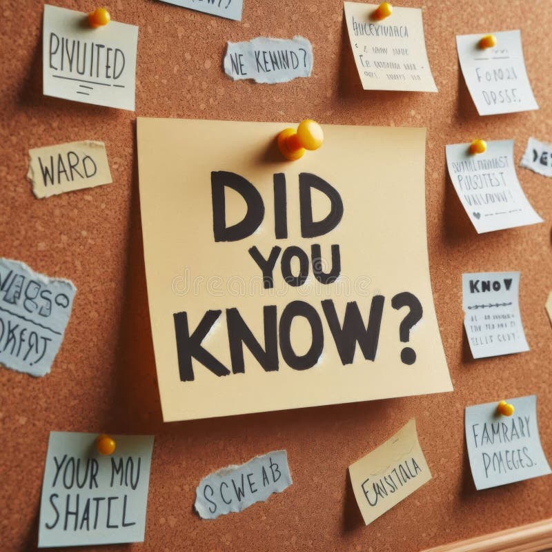 Corkboard Display Featuring Sticky Note, Highlighting the Phrase Did ...