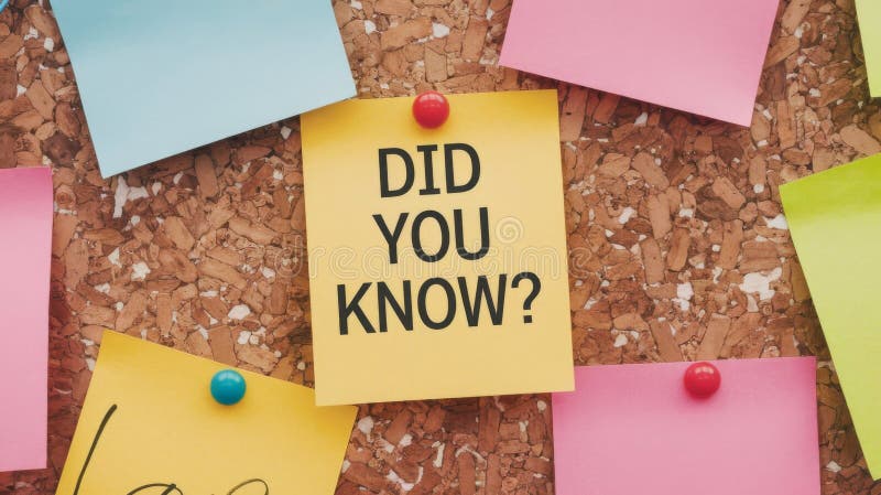 Corkboard Display Featuring Sticky Note, Highlighting the Phrase Did ...