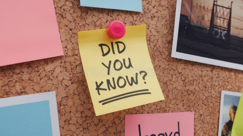 Corkboard Display Featuring Sticky Note, Highlighting the Phrase Did ...