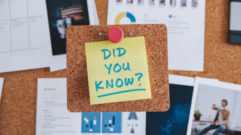 Corkboard Display Featuring Sticky Note, Highlighting the Phrase Did ...