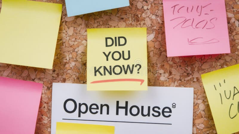 Corkboard Display Featuring Sticky Note, Highlighting the Phrase Did ...