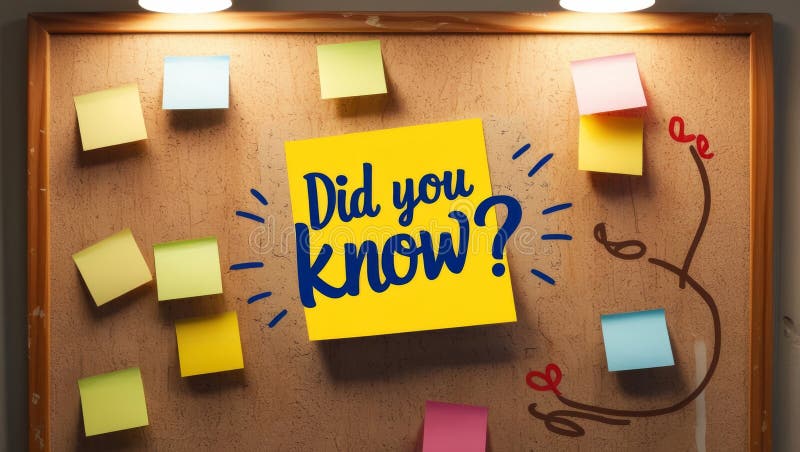 Corkboard Display Featuring Sticky Note, Highlighting the Phrase Did ...