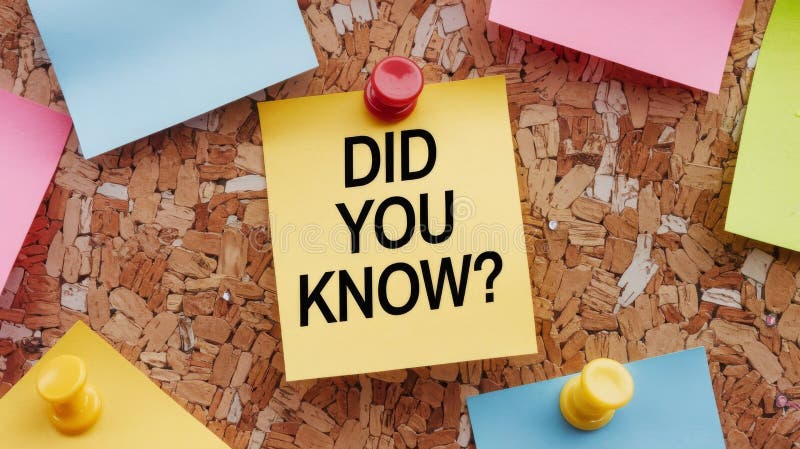 Corkboard Display Featuring Sticky Note, Highlighting the Phrase Did ...