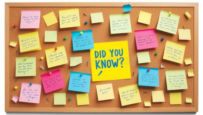 Corkboard Display Featuring Sticky Note, Highlighting the Phrase Did ...