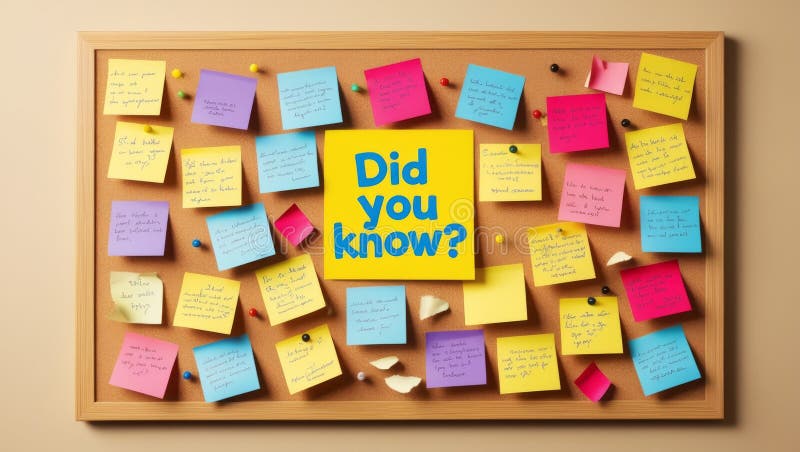 Corkboard Display Featuring Sticky Note, Highlighting the Phrase Did ...