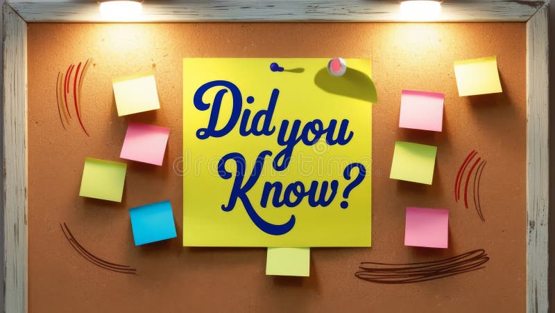 Corkboard Display Featuring Sticky Note, Highlighting the Phrase Did ...