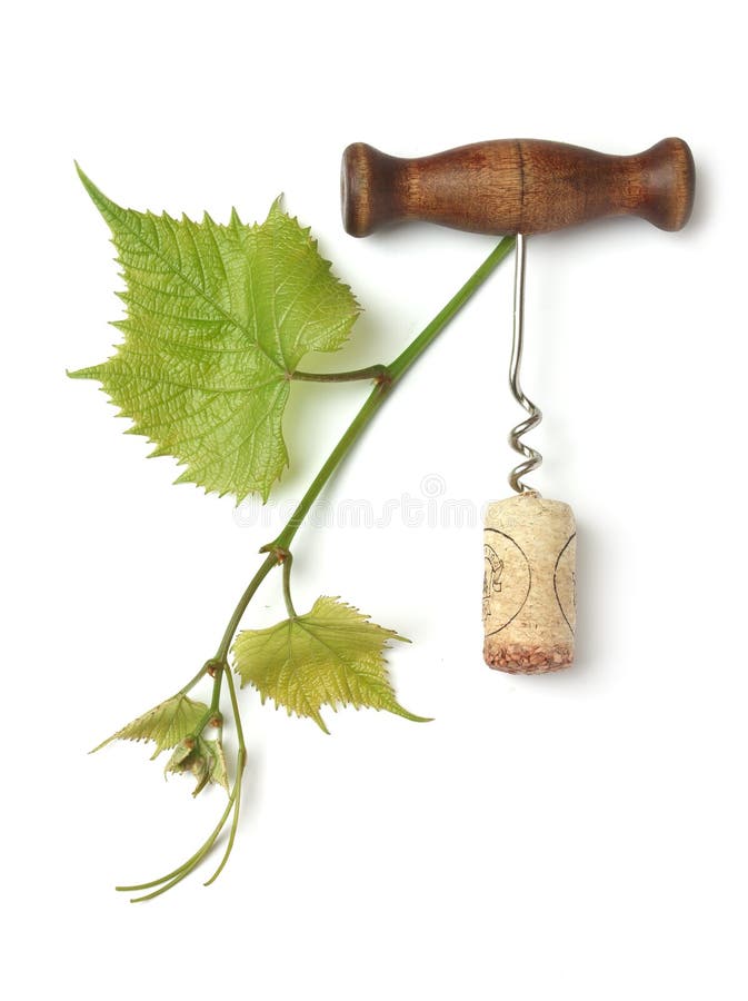 Corkscrew and cork stock photo. Image of drink, cork - 21188948