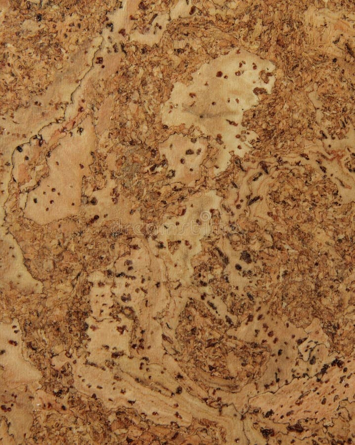 Corkwood background stock photo. Image of interior, carpentry - 32251766