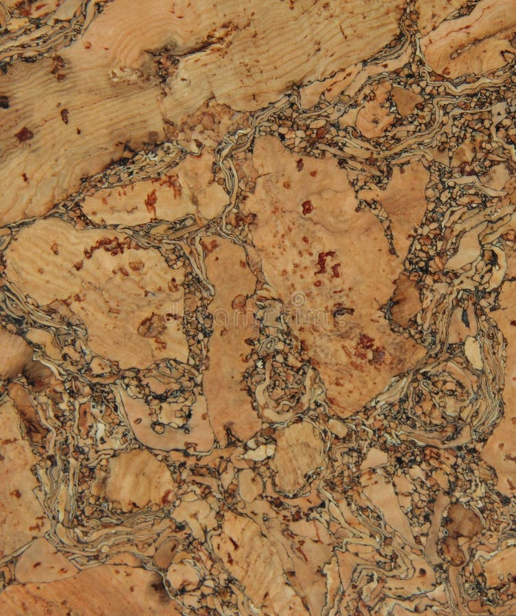 Corkwood background stock photo. Image of space, wall - 32251616
