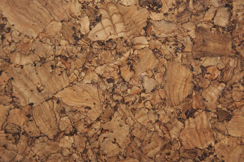 Corkwood Texture Mixed with White Plaster Stock Image - Image of mottle ...