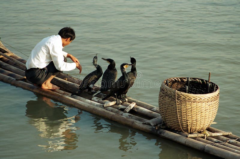 Chinese Cormorant Fisherman Editorial Stock Image - Image of catch ...