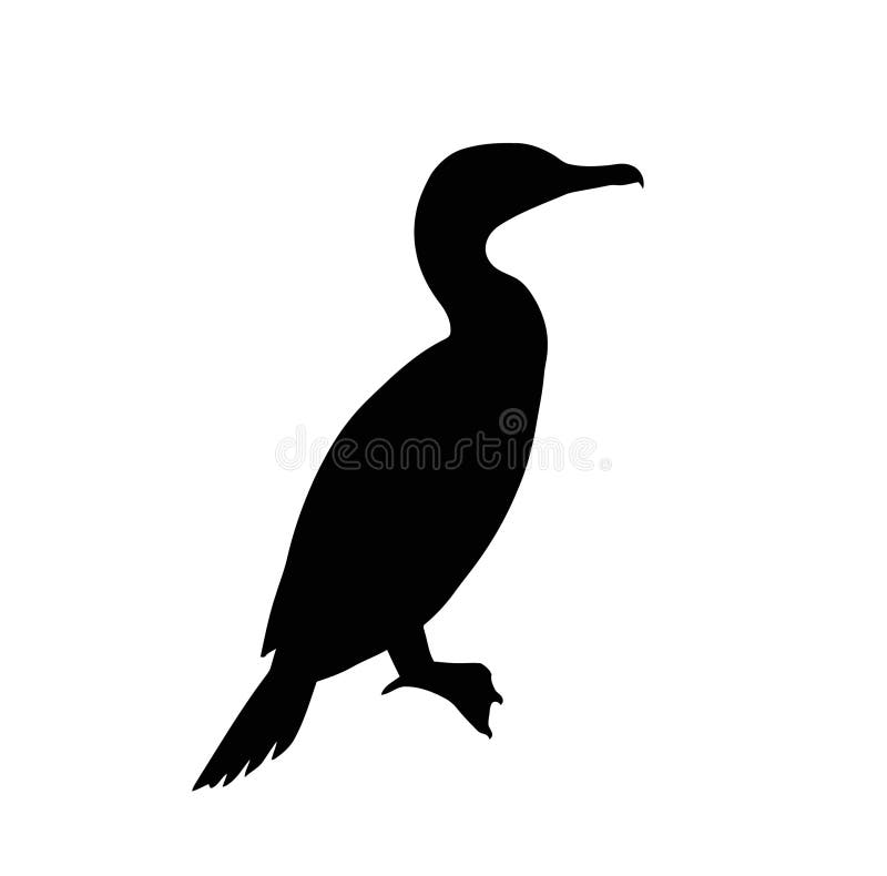 Cormorant silhouette stock vector. Illustration of creative - 374894307