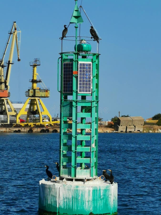 Cormorants on Green Beacon with Solar Panel Stock Photo - Image of ...