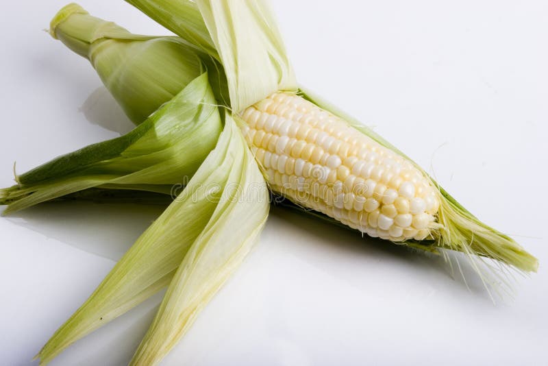 Corn stock image. Image of food, popcorn, sweet, stalk - 1322499