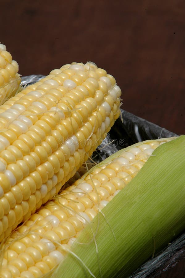 Spring corn field stock photo. Image of estate, farmstead - 830214