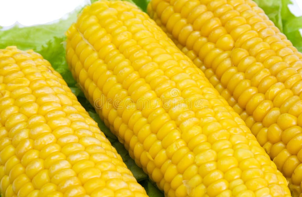 Corn 2 stock photo. Image of snack, fresh, plate, picnic - 2214140