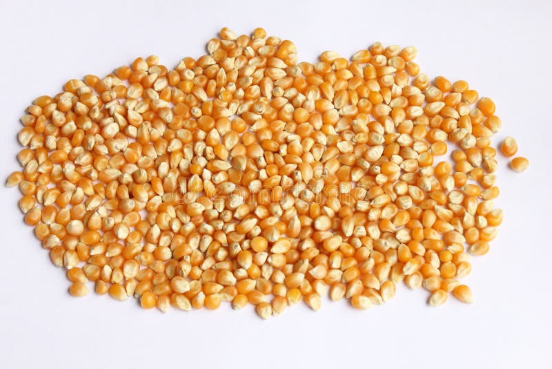 Kernels of Corn 3 stock image. Image of additive, kernel - 3438953