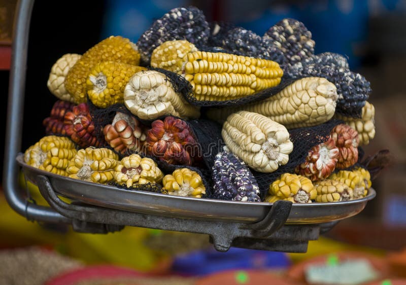 Peruvian Corn stock image. Image of nutrition, maize - 42902805