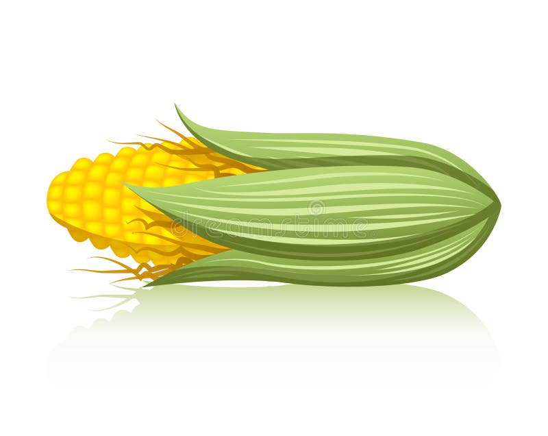 Corn Cob Clip Art Stock Illustrations – 325 Corn Cob Clip Art Stock ...