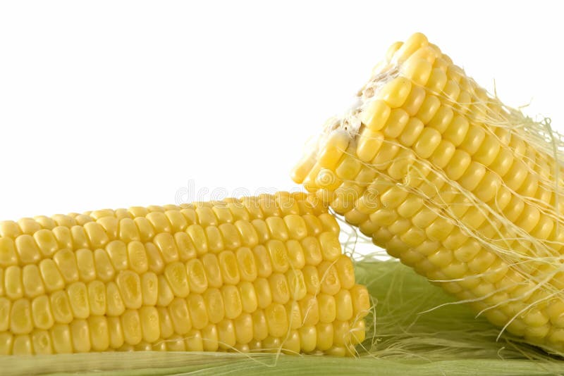 Corn Picture. Image: 3162528