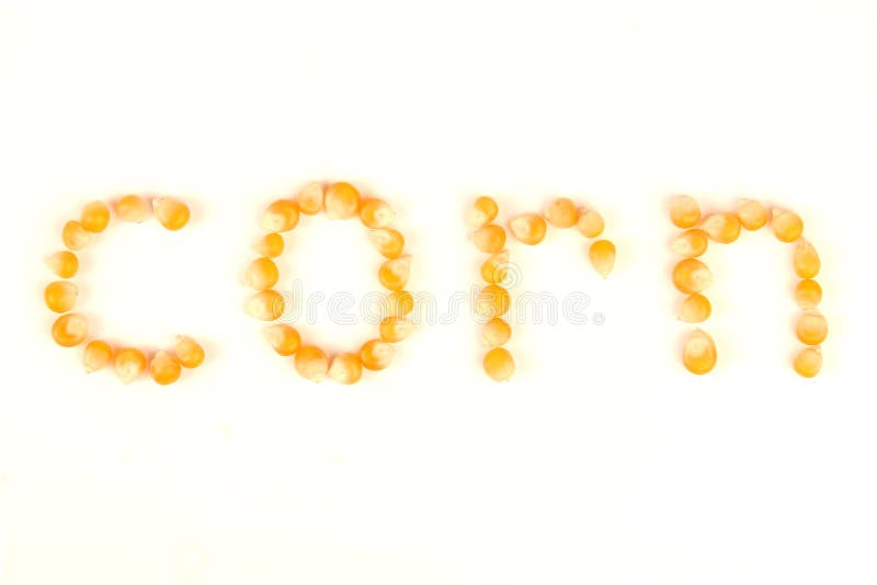 Corn stock image. Image of golden, diet, breakfast, field - 5243553