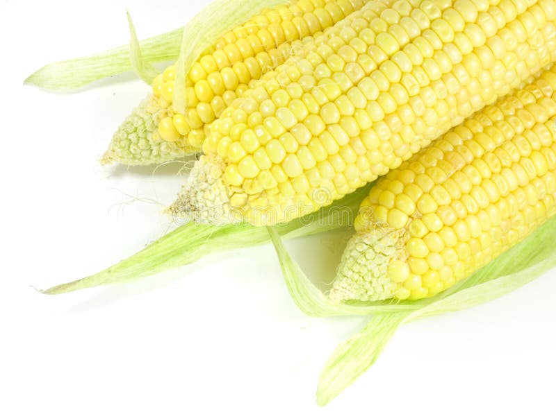 Corn stock image. Image of pile, sweet, green, vitamin - 567797
