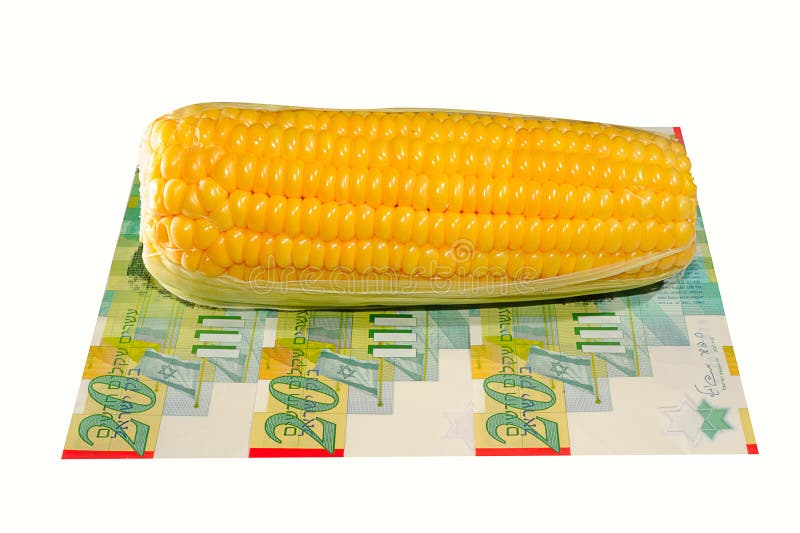 Cash Corn Crop III stock image. Image of agribusiness - 5073875