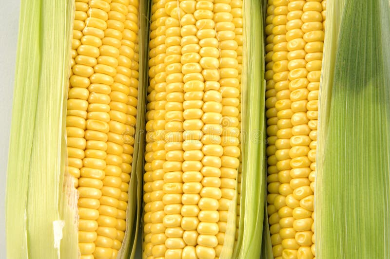 Stock Photos and Royalty-Free Images by Dreamstime