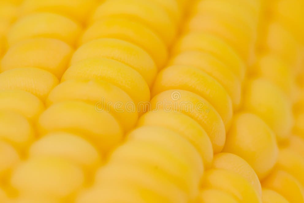 Corn abstract stock image. Image of peeled, refreshing - 44252353