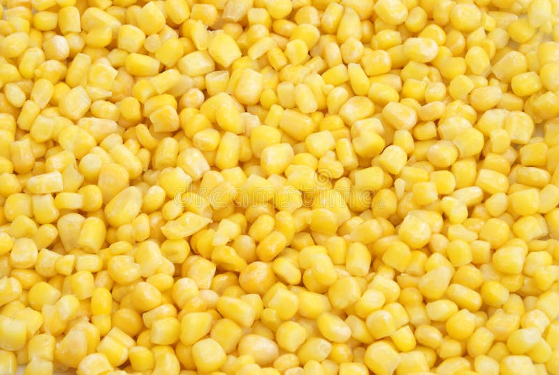 Corn Background stock image. Image of natural, vitamin - 8523383