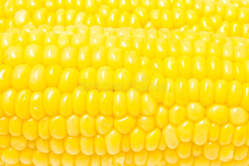 Corn background stock photo. Image of eating, grain, ripe - 58247460